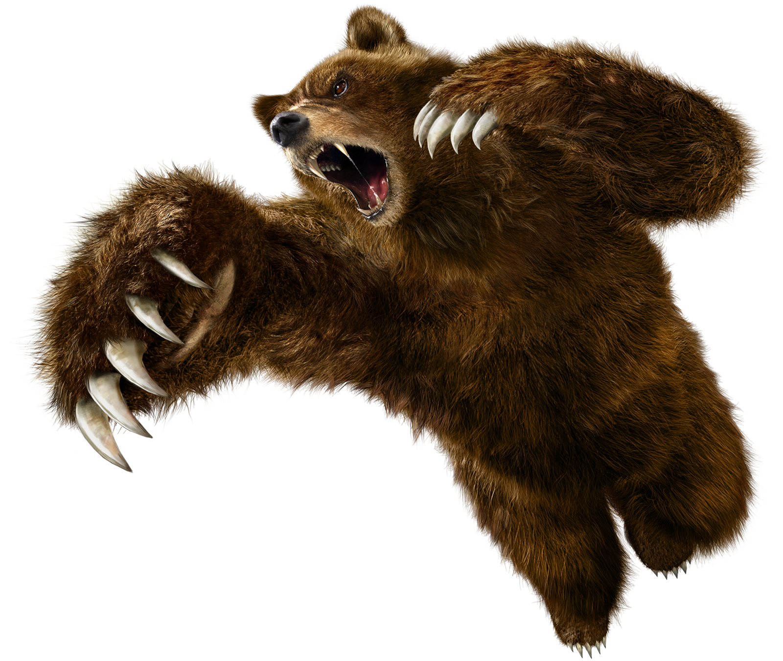 Kuma Tekken Kuma Tekken